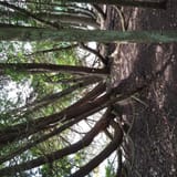 Devil’s Back Trail, Maine - 359 Reviews, Map | AllTrails