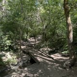 Maple Canyon to Whiting Campground, Utah - 607 Reviews, Map | AllTrails