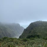 Mercer Bay Loop Track, Auckland, New Zealand - 796 Reviews, Map | AllTrails