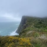 Mercer Bay Loop Track, Auckland, New Zealand - 796 Reviews, Map | AllTrails