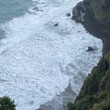 Mercer Bay Loop Track, Auckland, New Zealand - 796 Reviews, Map | AllTrails