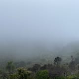 Mercer Bay Loop Track, Auckland, New Zealand - 796 Reviews, Map | AllTrails