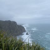 Mercer Bay Loop Track, Auckland, New Zealand - 796 Reviews, Map | AllTrails
