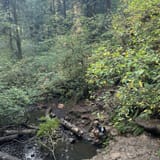 Mima Falls Loop, Washington - 1,766 Reviews, Map | AllTrails