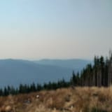 Cable Line Trail to West Tiger #3, Washington - 2,563 Reviews, Map ...