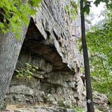 Foster Falls Climbers Loop Trail, Tennessee - 2,090 Reviews, Map ...