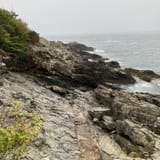 Marginal Way, Maine - 1,822 Reviews, Map | AllTrails