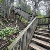 Devil's Kettle, Minnesota - 1,548 Reviews, Map | AllTrails