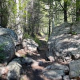 Cub Lake Loop, Colorado - 2,306 Reviews, Map | AllTrails