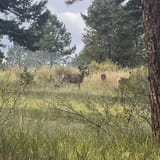 Genesee Mountain Trail Outer Loop, Colorado - 2,152 Reviews, Map ...