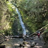 Madison Falls Trail, Washington - 2,132 Reviews, Map | AllTrails