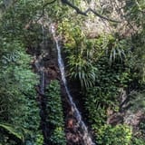 Coomera Circuit Walk, Queensland, Australia - 1,395 Reviews, Map ...