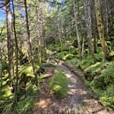 Mount Lafayette, North Lincoln, and Little Haystack Loop, New Hampshire ...