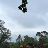 Bukit Jambul - Bukit Kukus Loop, Penang, Malaysia - 530 Reviews, Map ...