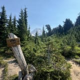 McNeil Point Trail, Oregon - 3,327 Reviews, Map | AllTrails