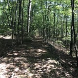 Lake Scranton Loop, Pennsylvania - 717 Reviews, Map | AllTrails