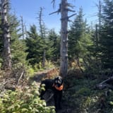 Mount Tom, Avalon, and Field Loop, New Hampshire - 1,450 Reviews, Map ...