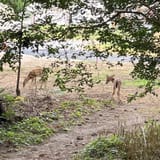 Georgetown-Lewes Trail, Delaware - 533 Reviews, Map | AllTrails