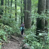 Daniel Ridge Loop, North Carolina - 2,114 Reviews, Map | AllTrails