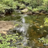 Stepstone Falls via Ben Utter Trail, Rhode Island - 1,650 Reviews, Map ...