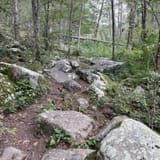 Stepstone Falls via Ben Utter Trail, Rhode Island - 1,650 Reviews, Map ...