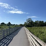 Brevard Zoo Linear Park Trail, Florida - 831 Reviews, Map | AllTrails