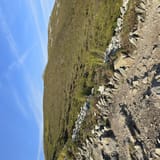 Croagh Patrick Pilgrim Trail, County Mayo, Ireland - 1,516 Reviews, Map ...