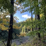 Sprague Brook Park Trail, New York - 1,461 Reviews, Map | AllTrails