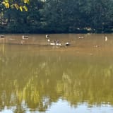 Trail of the Muscogee, Georgia - 540 Reviews, Map | AllTrails