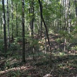 Trail of the Muscogee, Georgia - 559 Reviews, Map | AllTrails