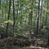 Trail of the Muscogee, Georgia - 555 Reviews, Map | AllTrails