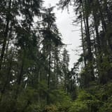 Ridge Loop Trail , Washington - 403 Reviews, Map | AllTrails