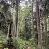 Ridge Loop Trail , Washington - 399 Reviews, Map | AllTrails
