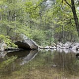 Reeves Brook Loop Trail, New York - 4,998 Reviews, Map | AllTrails