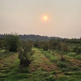 Mercer Slough Nature Park, Washington - 1,047 Reviews, Map | AllTrails