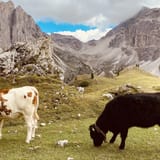 Seceda - Rifugio Firenze - Col Raiser: 4 278 foton – Sydtyrolen ...