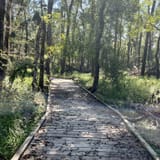 Burroughs Park Eastern Trail Loop, Texas - 799 Reviews, Map | AllTrails