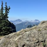 Mount Dickerman Trail, Washington - 1,904 Reviews, Map | AllTrails