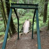 Tryon Creek Triple Bridge Loop, Oregon - 1,840 Reviews, Map | AllTrails