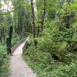 Tryon Creek Triple Bridge Loop, Oregon - 1,840 Reviews, Map | AllTrails