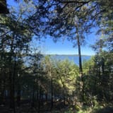 Day Loop Trail, Tennessee - 4,466 Reviews, Map | AllTrails