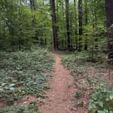 Bee Brook Loop, Connecticut - 1,050 Reviews, Map | AllTrails