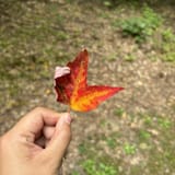 Mount Toby Trail, Massachusetts - 1,163 Reviews, Map | AllTrails