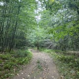 Mount Toby Trail, Massachusetts - 1,163 Reviews, Map | AllTrails