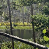 Cub Lake Loop, Colorado - 2,314 Reviews, Map | AllTrails
