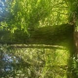 Tradition Lake Loop Trail, Washington - 1,635 Reviews, Map | AllTrails