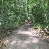 Pole Green Park Loop, Virginia - 340 Reviews, Map | AllTrails