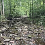 Beech Bottom Trail, Tennessee - 396 Reviews, Map | AllTrails