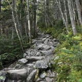 Mount Liberty via Liberty Spring Trail, New Hampshire - 1,563 Reviews ...