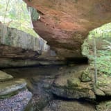 Natural Bridge Trail and Rock Shelter Trail Loop, Ohio - 1,769 Reviews ...